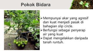 PROJEK AKHIR POKOK BERKHASIAT DAN MENGUKUHKAN JALAN RAYA | PPTX