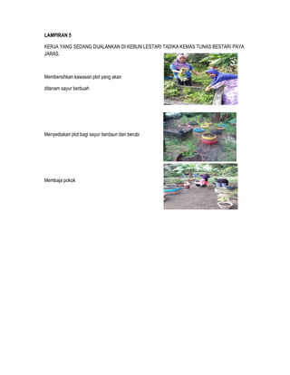 Projek kebun lestari | PDF