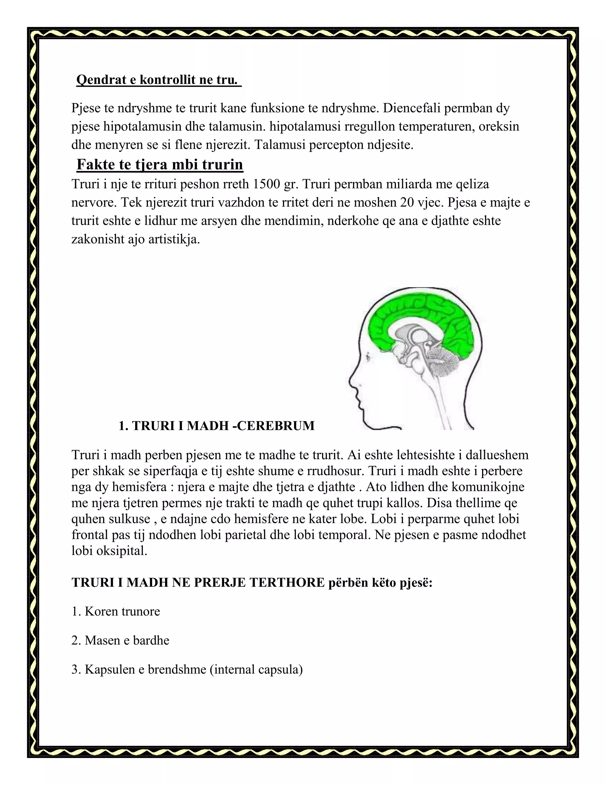 Ndertimi i trurit | DOCX