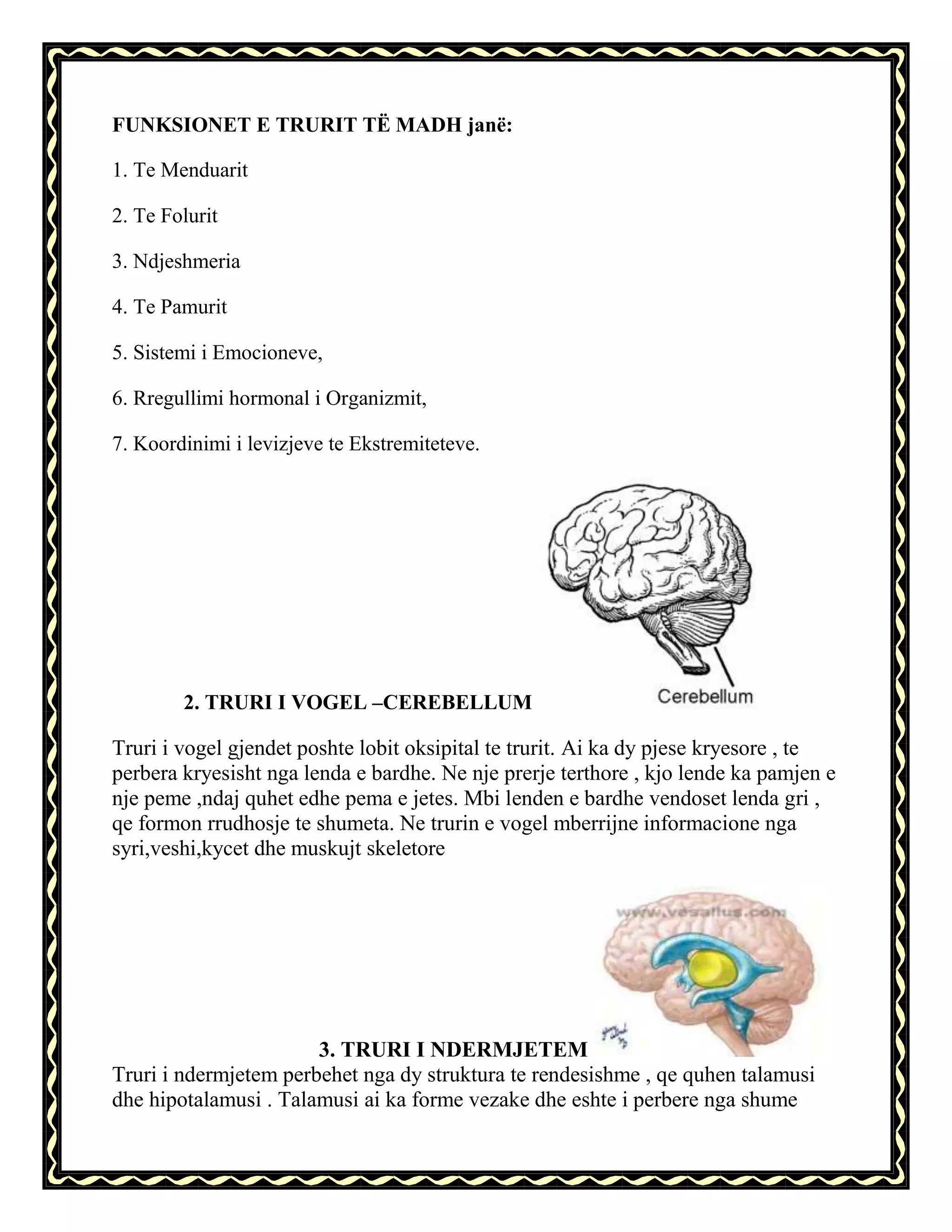 Ndertimi i trurit | DOCX