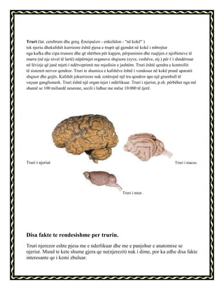 Ndertimi i trurit | DOCX