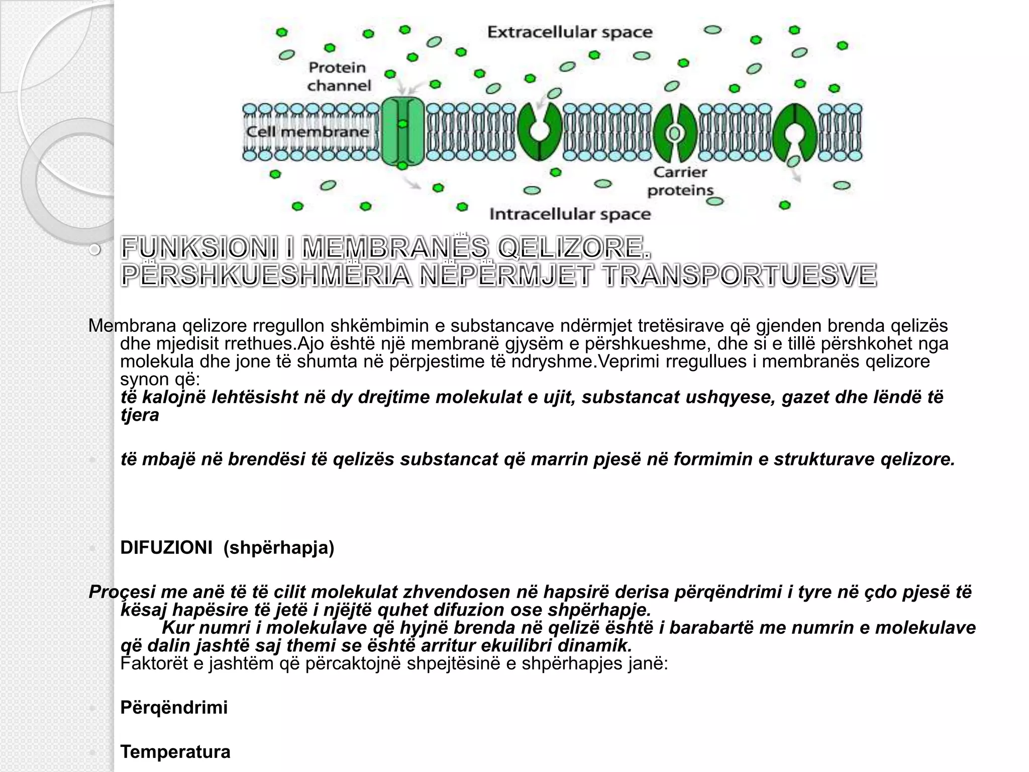 Projekt biologji | PPTX