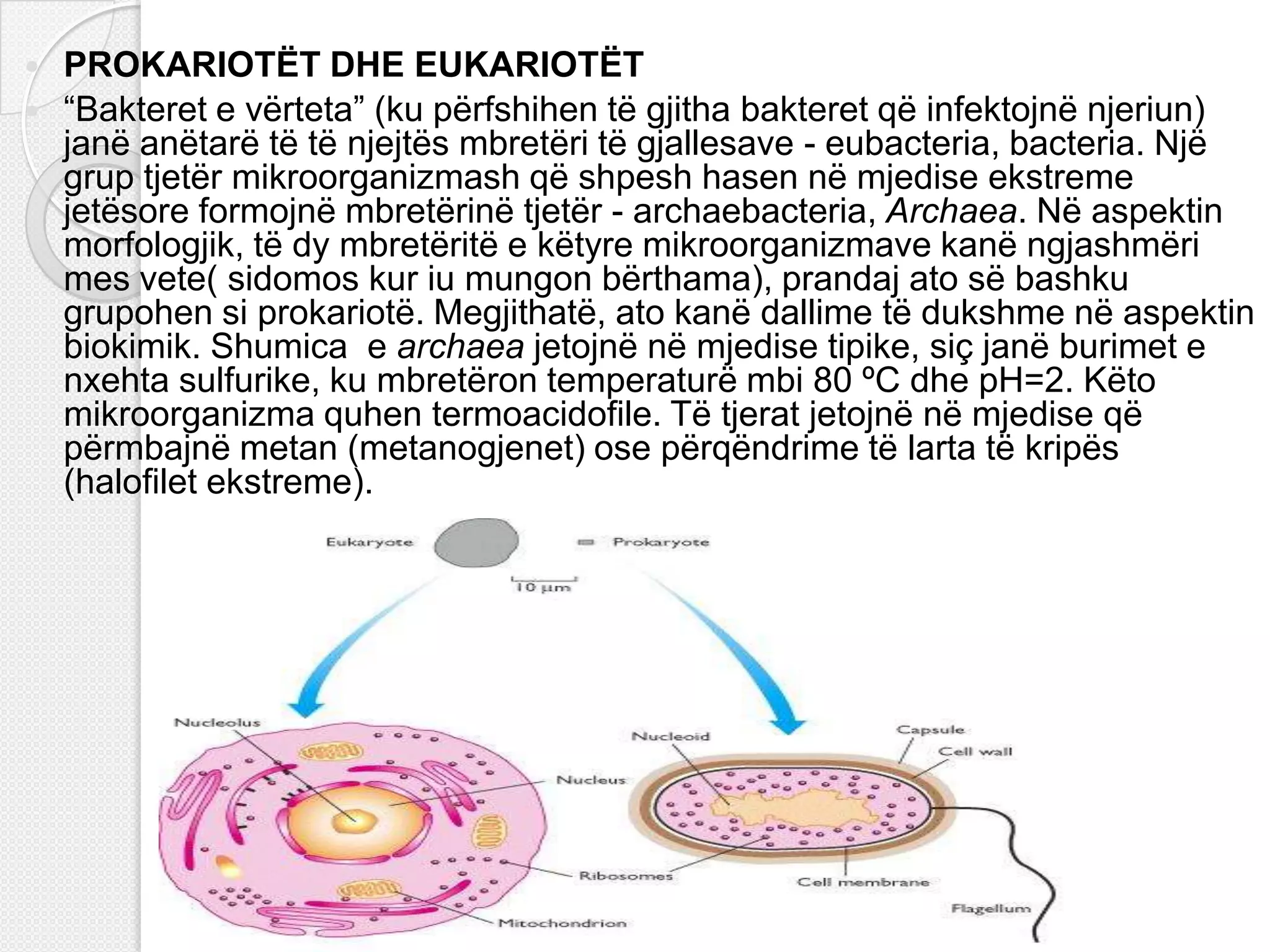 Projekt biologji | PPTX