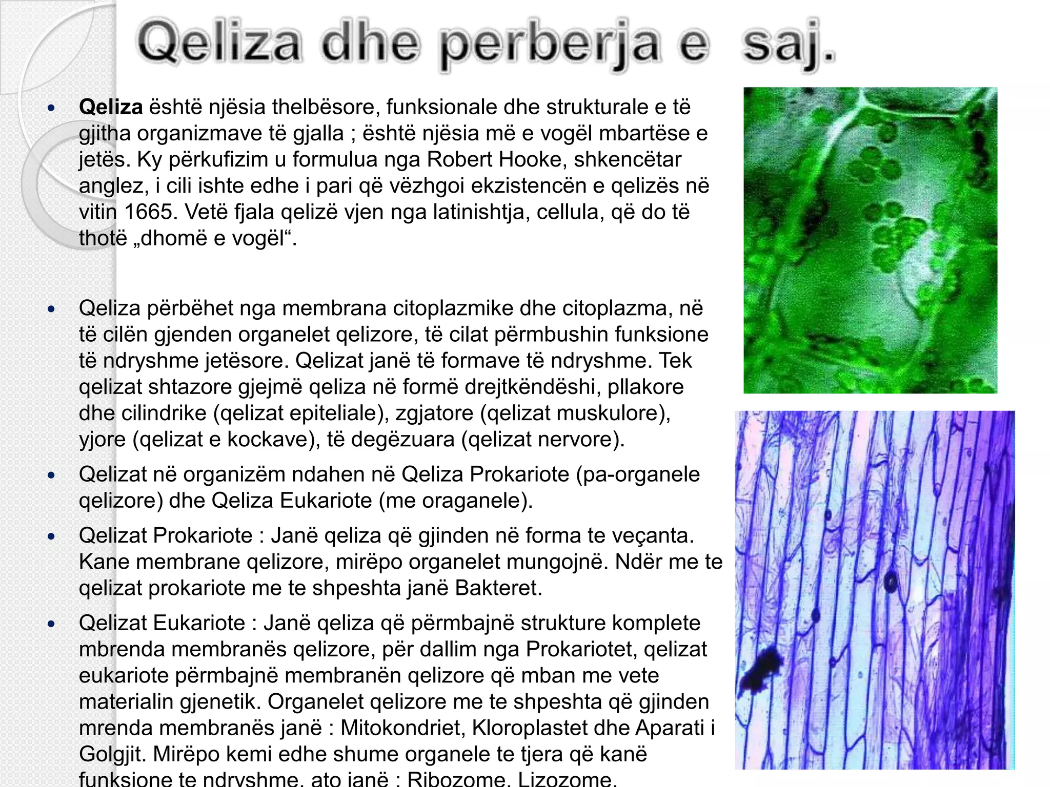 Projekt biologji | PPTX