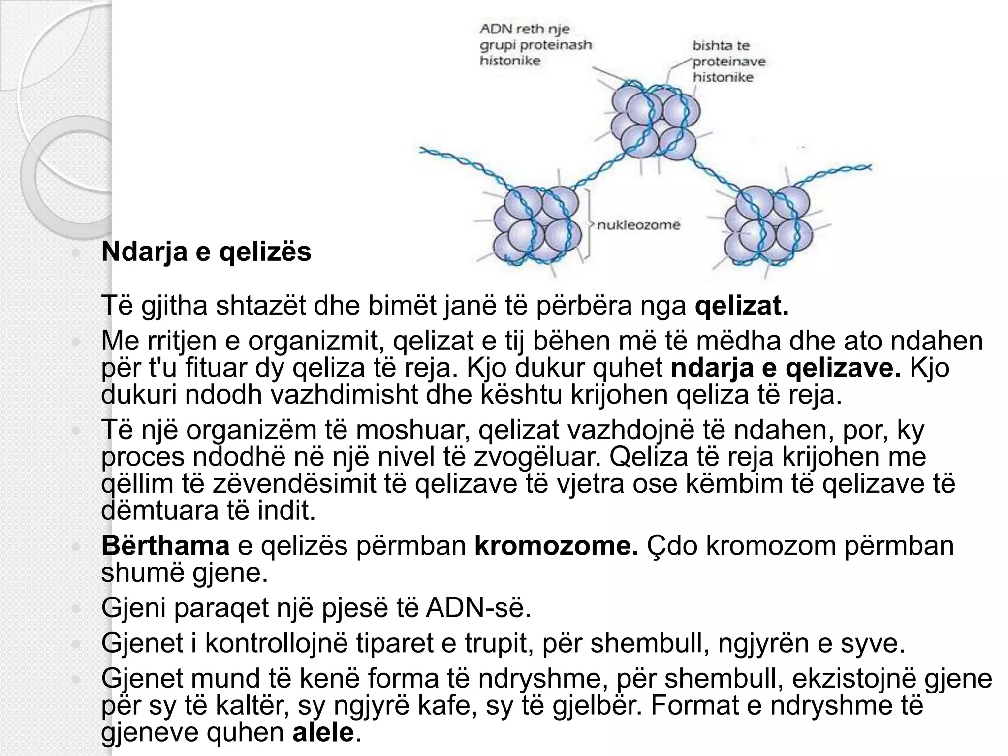 Projekt biologji | PPTX