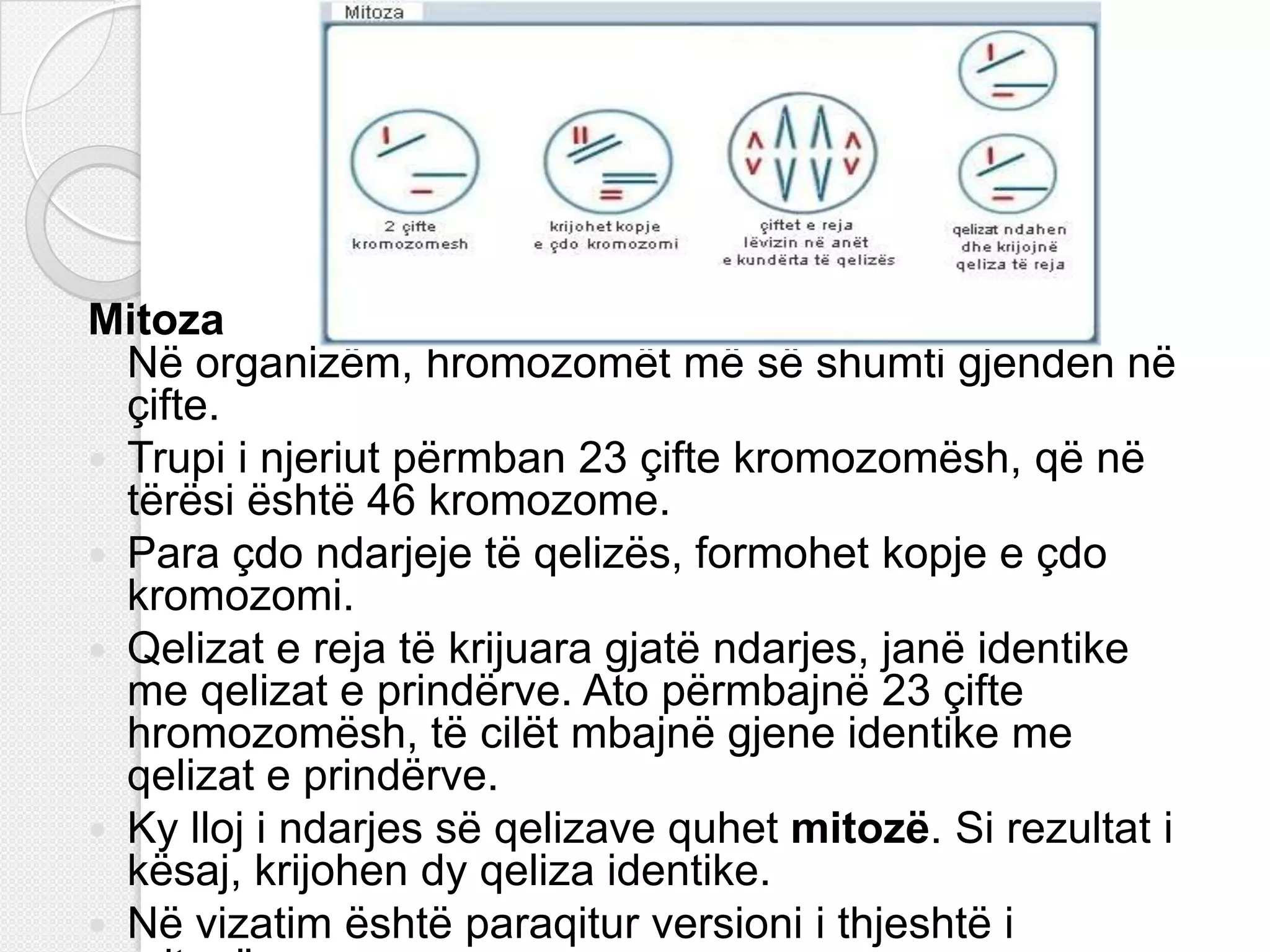 Projekt biologji | PPTX