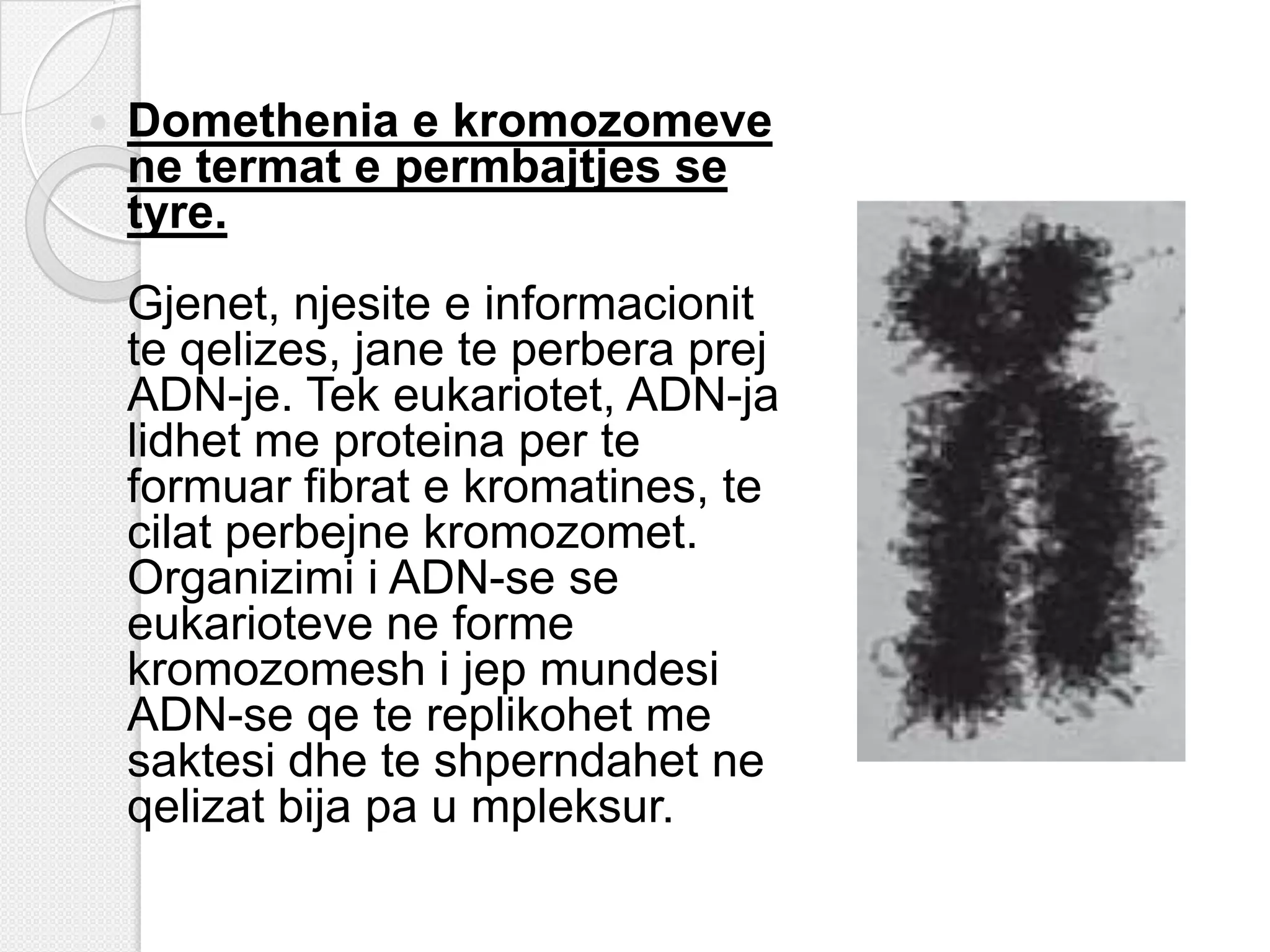 Projekt biologji | PPTX