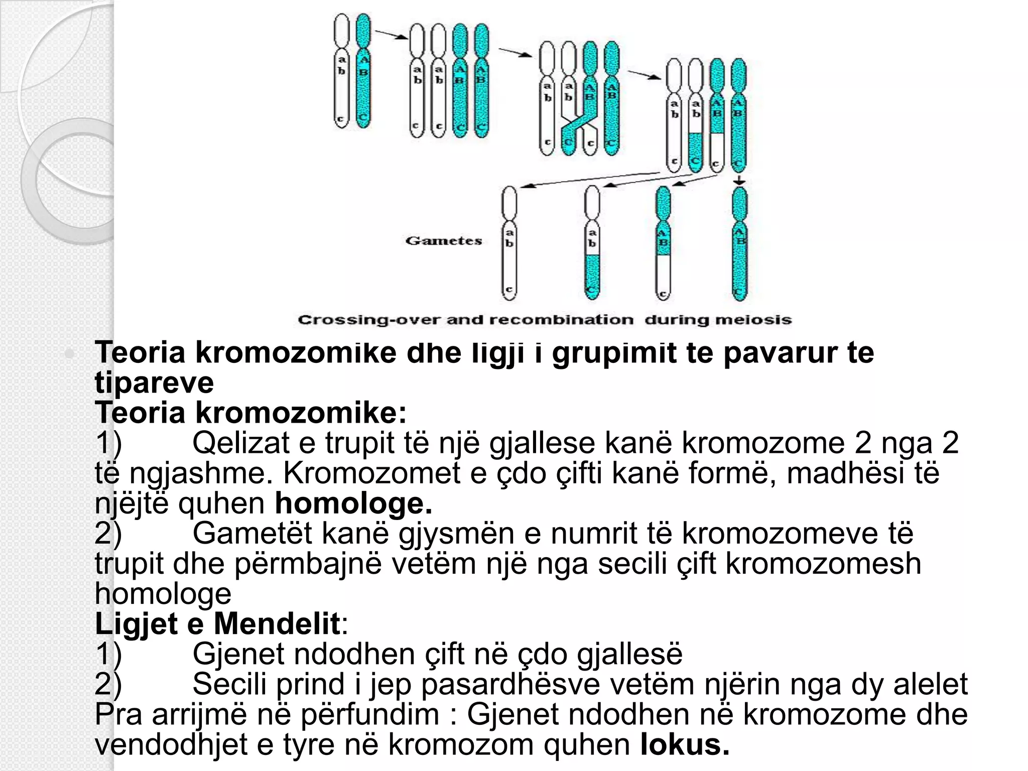 Projekt biologji | PPTX