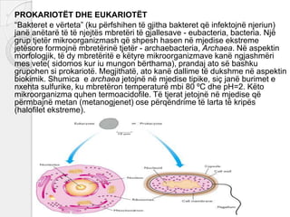 Projekt biologji | PPTX
