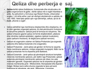 Projekt biologji | PPTX