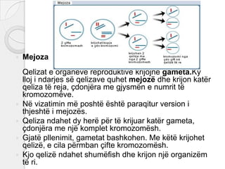 Projekt biologji | PPTX
