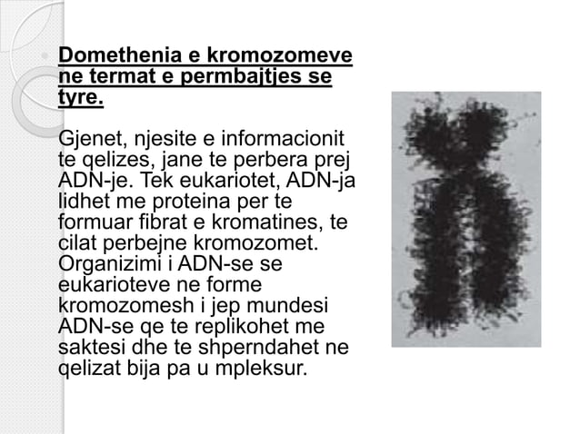 Projekt biologji | PPTX