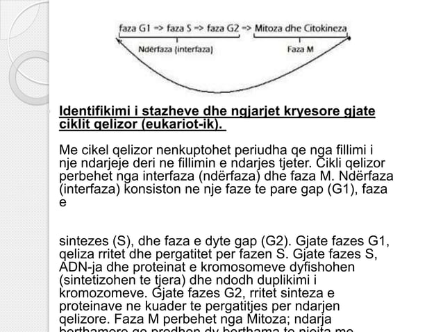 Projekt biologji | PPTX