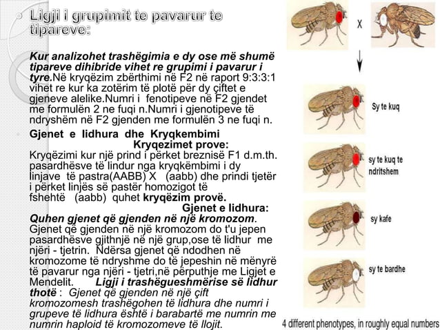 Projekt biologji | PPTX