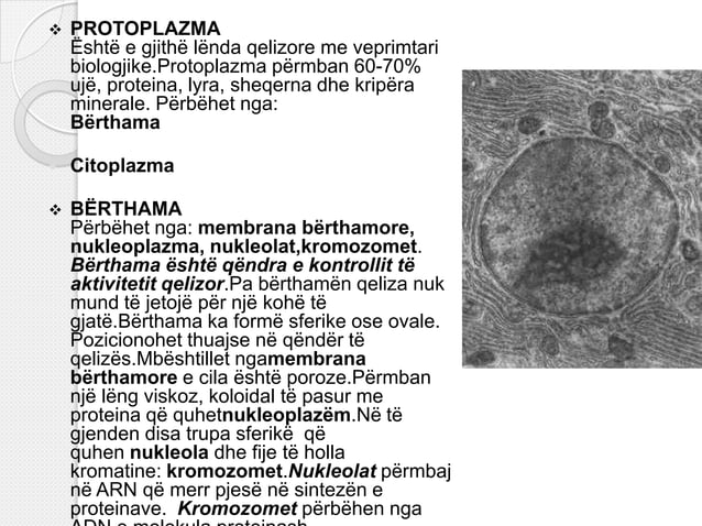 Projekt biologji | PPTX