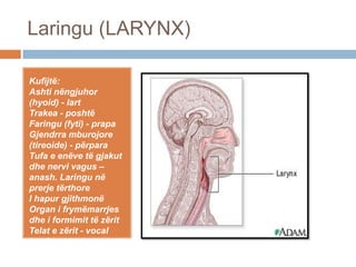 Projekt biologji: "Funksionet e Organeve te Njeriut " | PPTX