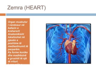 Projekt biologji: "Funksionet e Organeve te Njeriut " | PPTX
