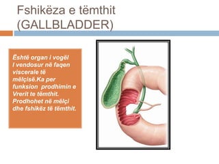 Projekt biologji: "Funksionet e Organeve te Njeriut " | PPTX