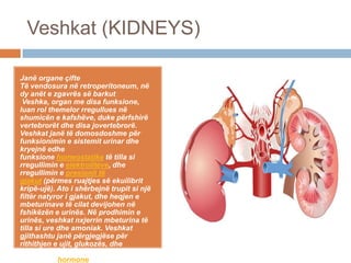 Projekt biologji: "Funksionet e Organeve te Njeriut " | PPTX