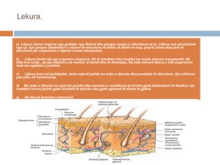Projekt biologji: "Funksionet e Organeve te Njeriut " | PPTX
