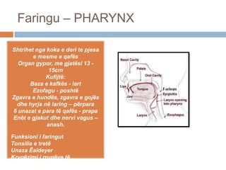 Projekt biologji: "Funksionet e Organeve te Njeriut " | PPTX