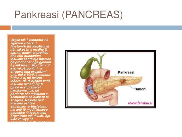 Projekt biologji: "Funksionet e Organeve te Njeriut