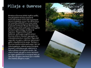 Projekt biologji bota bimore dhe bota shtazore ne Shqiperine e Mesme | PPTX