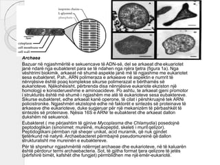 Projekt biologji | PPTX