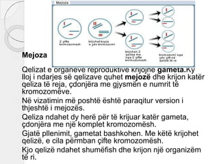 Projekt biologji | PPTX