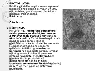 Projekt biologji | PPTX