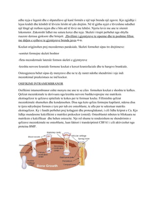 Projekt biologji zhvillimi | PDF
