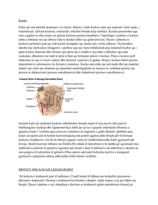 Projekt biologji zhvillimi | PDF