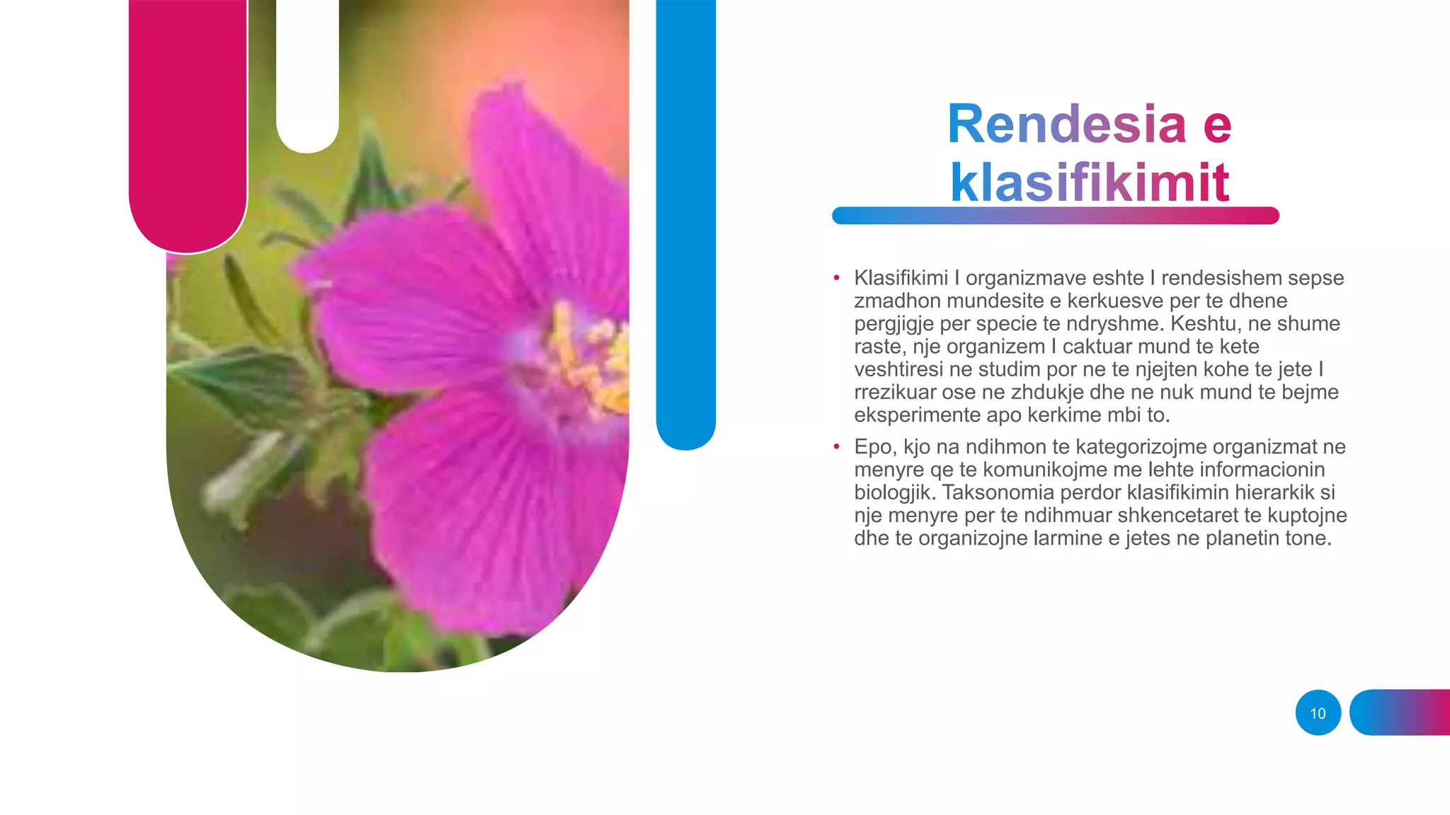 Organizmat, Biologji | PPTX