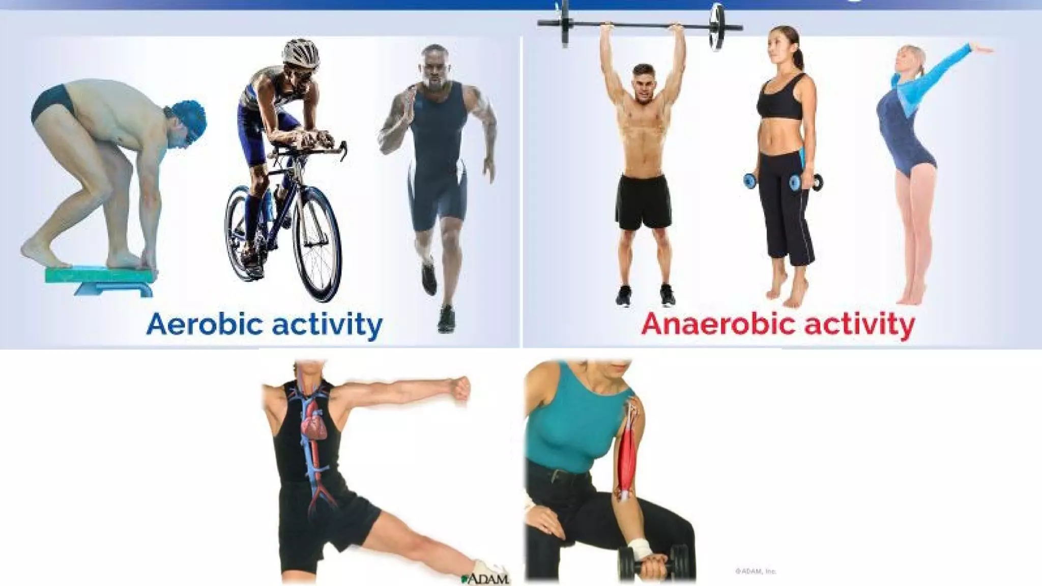 Projekt edukimi fizik | PDF