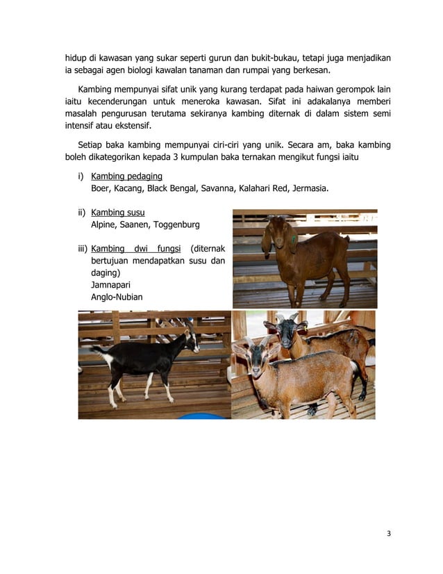 Projek ternakan kambing jbtn veterinar | PDF