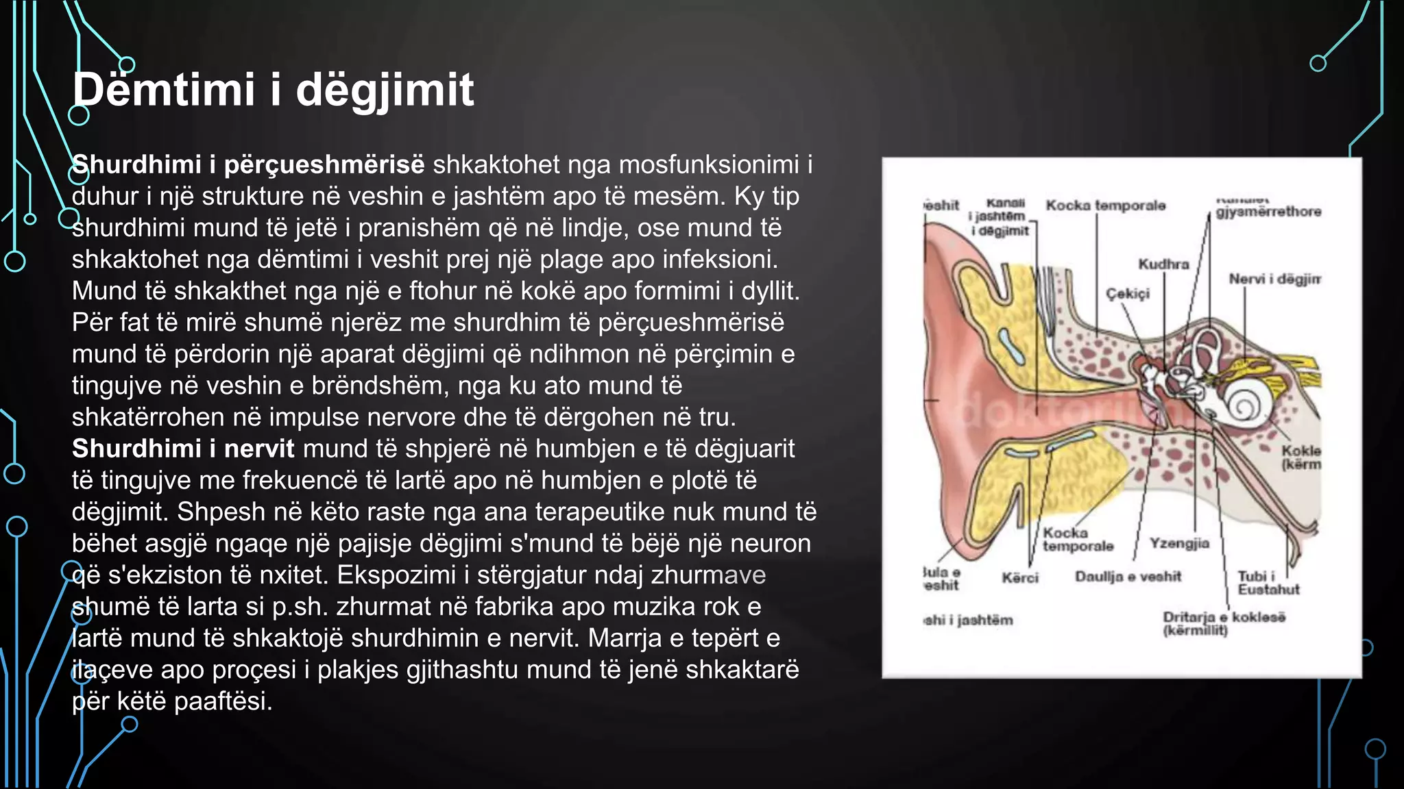 PROJEKT: NDOTJA E MJEDISIT NGA ZHURMAT | PPTX