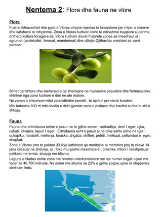 Projekt gjeografi | PPT