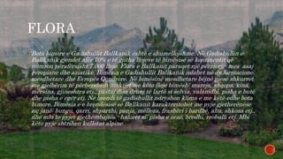 Projekt gjeografi | PPTX