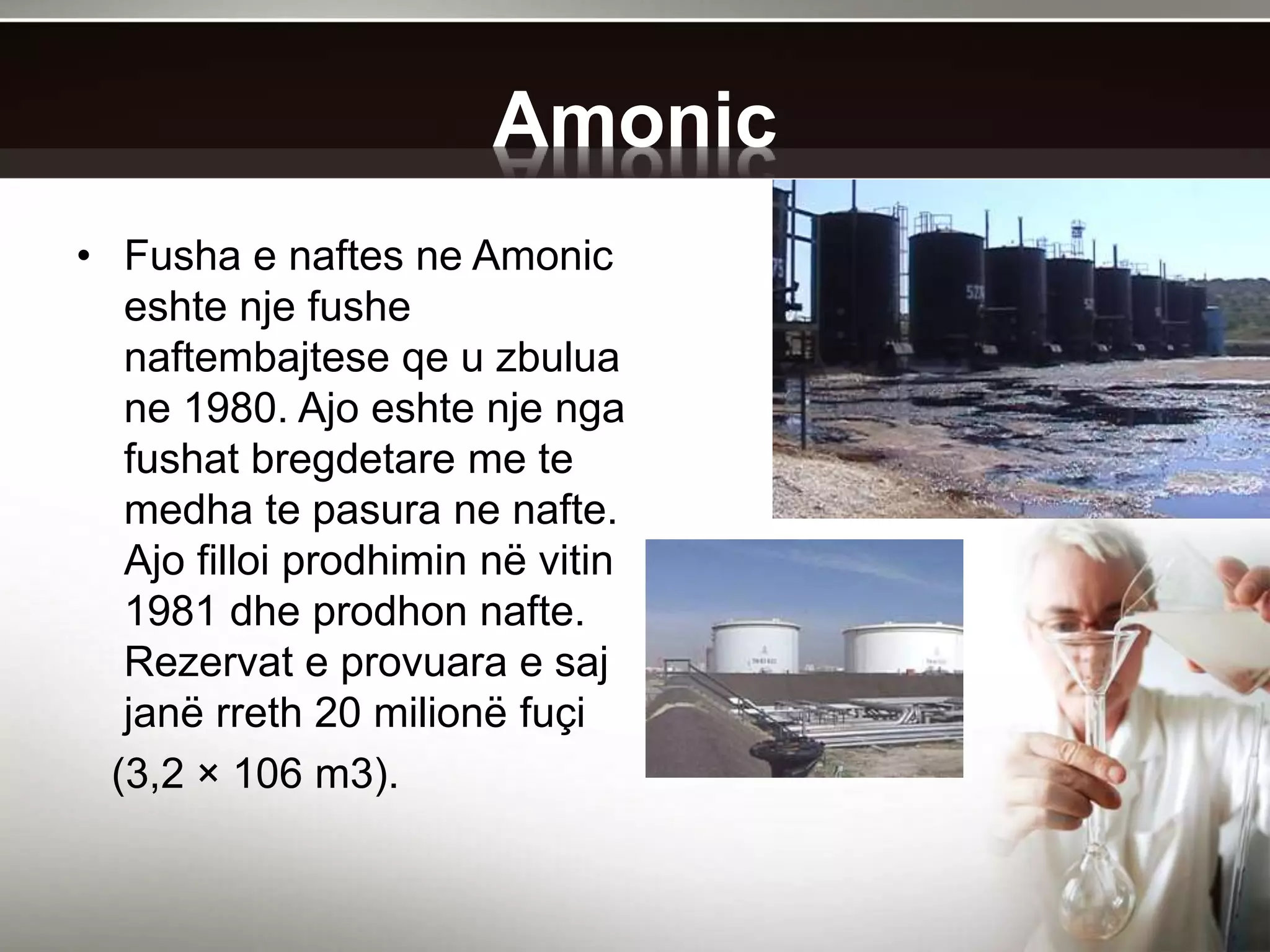 Projekt Kimi - Burime te hidrokarbureve ne Shqiperi | PPTX