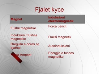 Projekt Fizik - Magnetizmi | PPT