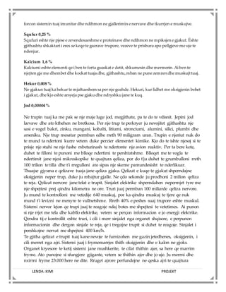 Elementet kimike | DOCX