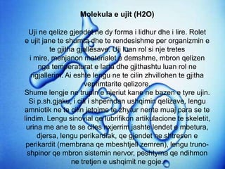 Projekt kimi (1) | PPTX