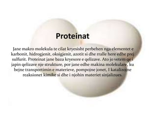 Projekt kimi (1) | PPTX