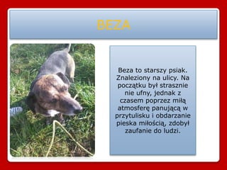 Empatia sympatia 3d 2017-18 | PPTX | Adoption and Fostering | Parenting