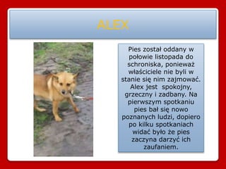 Empatia sympatia 3d 2017-18 | PPTX | Adoption and Fostering | Parenting