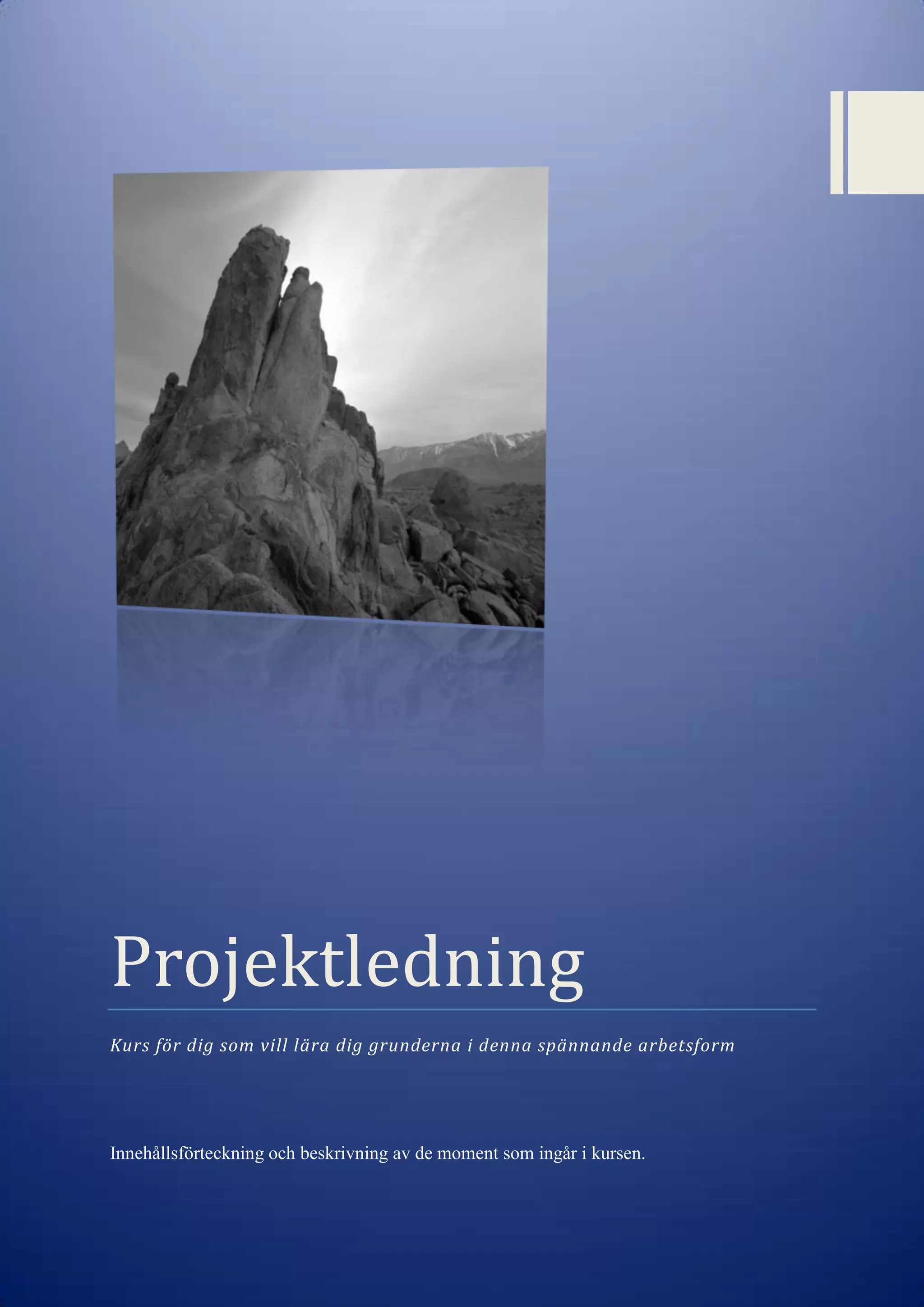 Projketledning - En kurs för dig som vill utvecklas | PDF