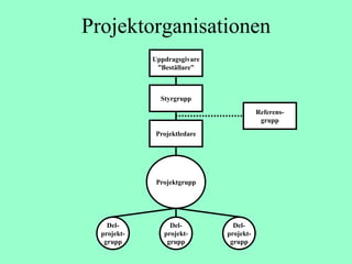 Projektledning teori 2 | PPTX