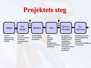 Projektledning teori 3 | PPTX