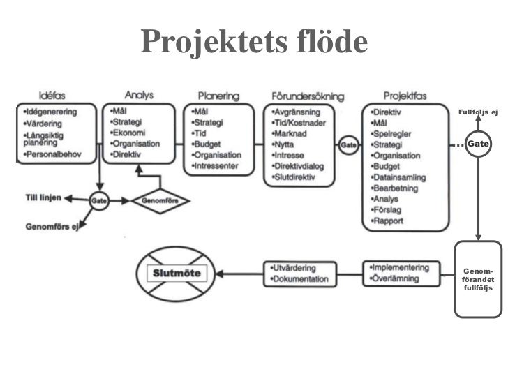 Projektledning teori 3