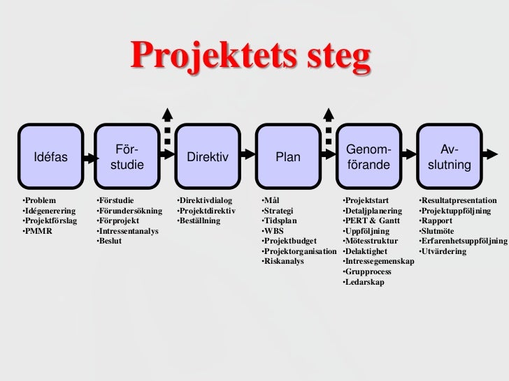 Projektledning teori 5